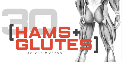 Program: Body Part Primer: Hams / Glutes – Muscle intelligence