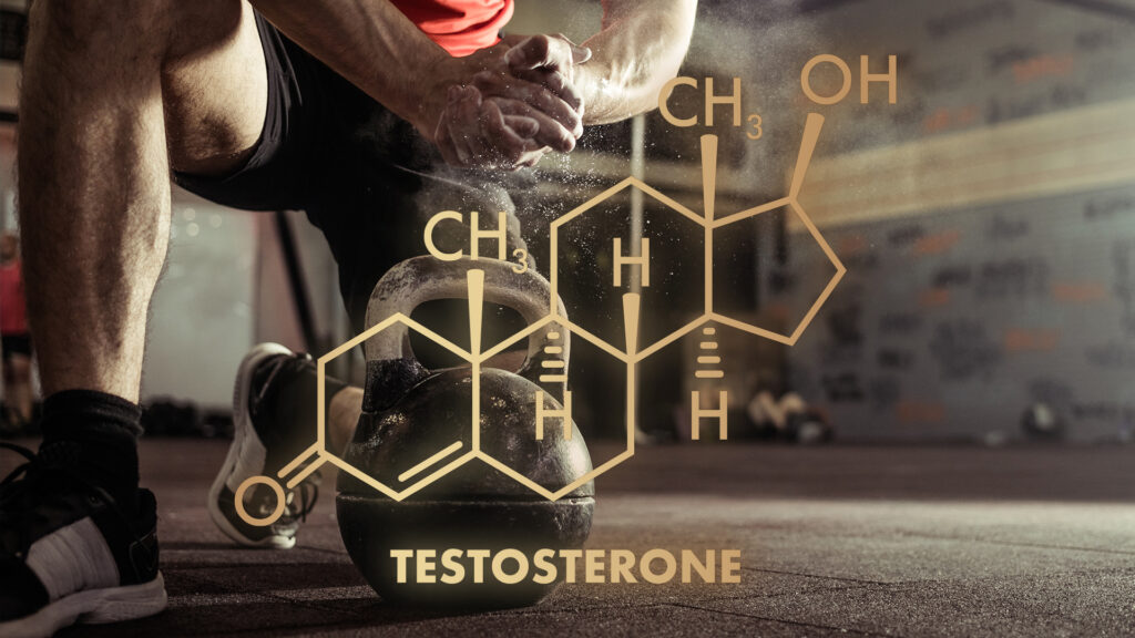 Max-T Dashboard – Muscle intelligence